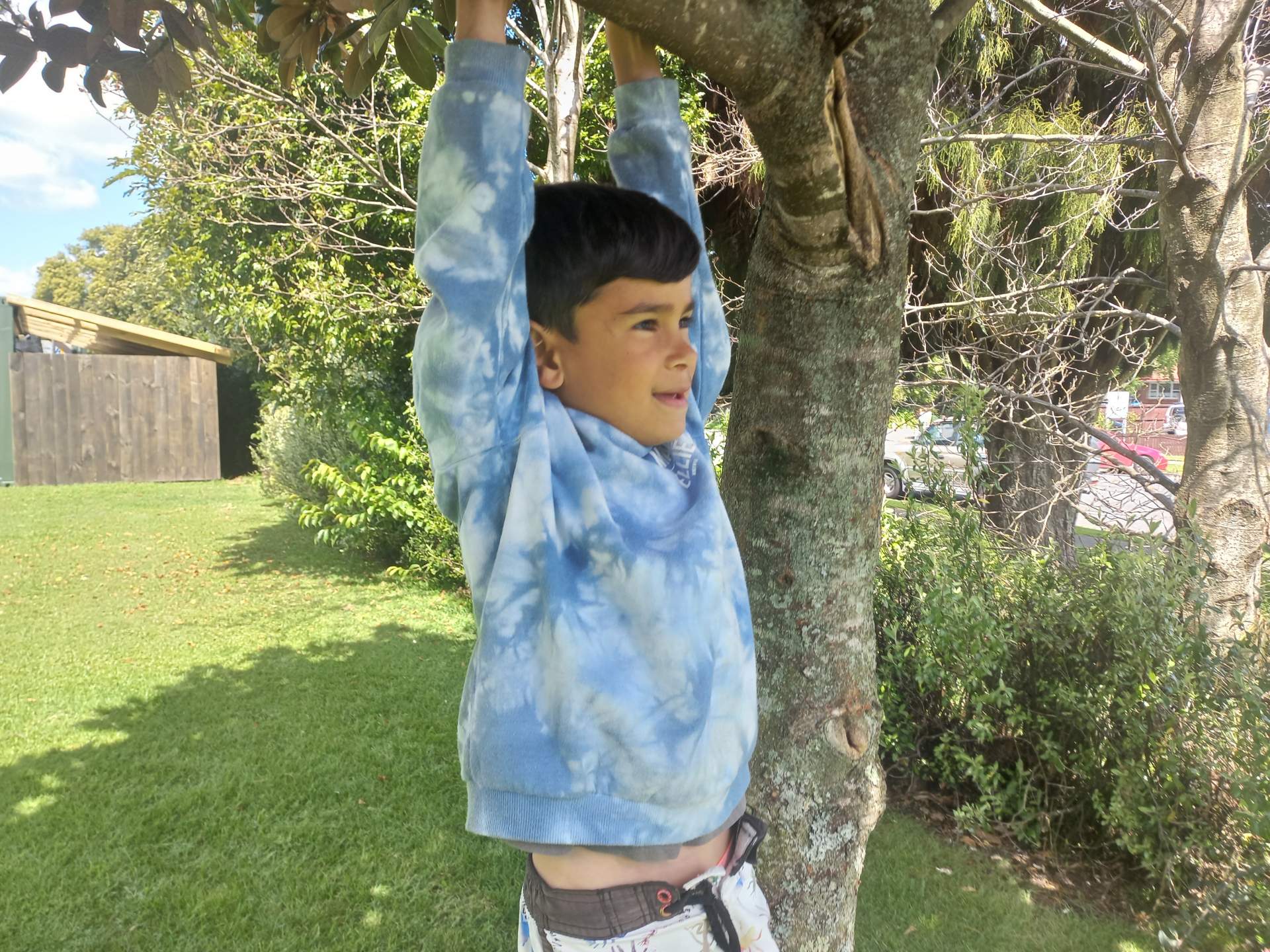 Healthy Active Learning